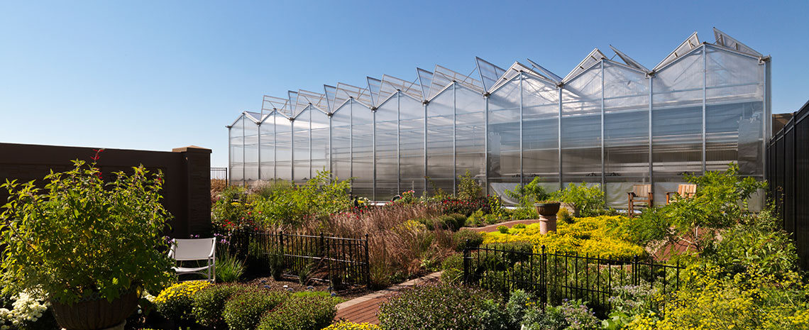 Joliet Junior College – Greenhouse Facility - Legat Architects