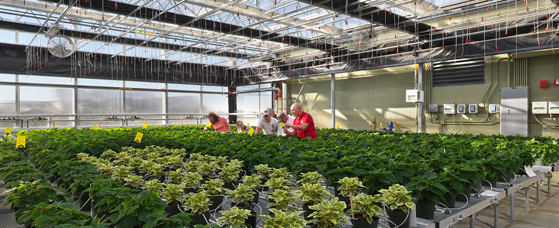 Joliet Junior College – Greenhouse Facility - Legat Architects