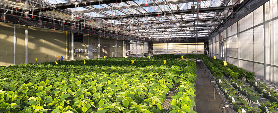 Joliet Junior College – Greenhouse Facility - Legat Architects